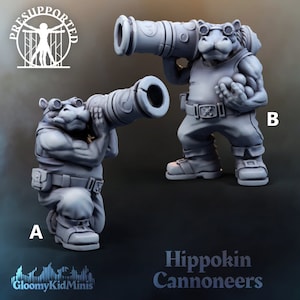Hippokin Squad - Giff - Cannon - Marksman - Captain - 28mm Miniatures ...