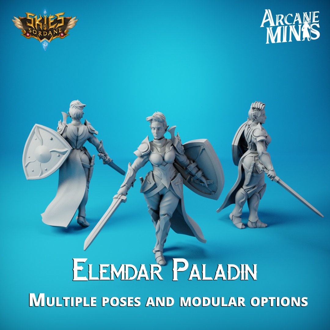 Elemdar Paladin - 32mm - 28mm Miniatures for Tabletop Gaming (dnd, D&D ...