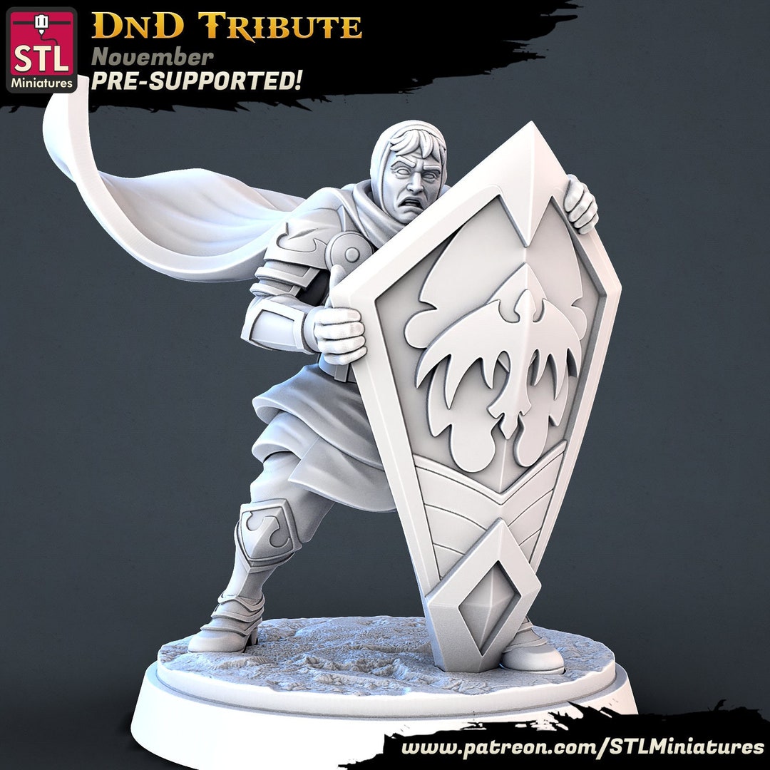 Tribute Warrior - Dnd Tribute Male With Shield - Heroes and Npcs - 32mm ...