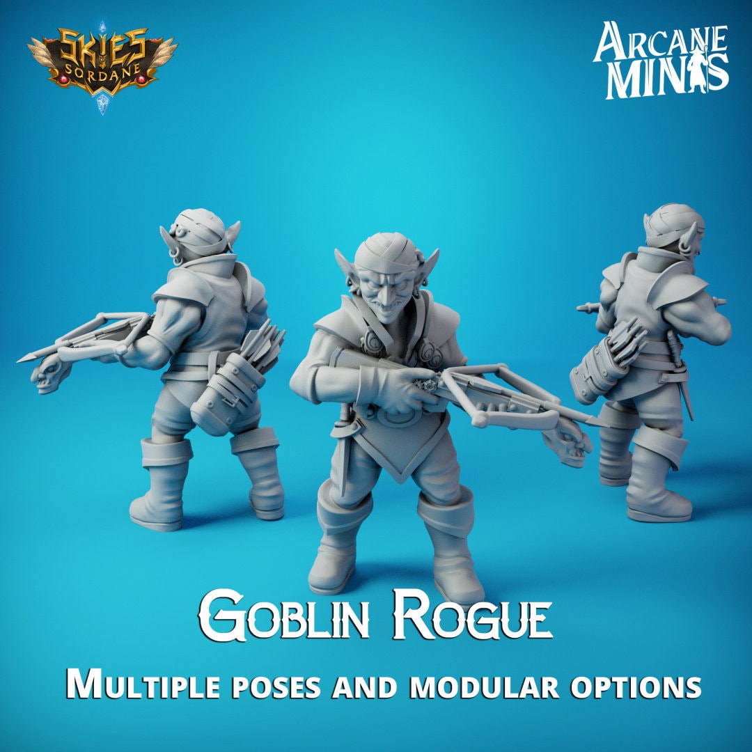 Goblin Rogue - 32mm - 28mm Miniatures for Tabletop Gaming (dnd, D&D ...