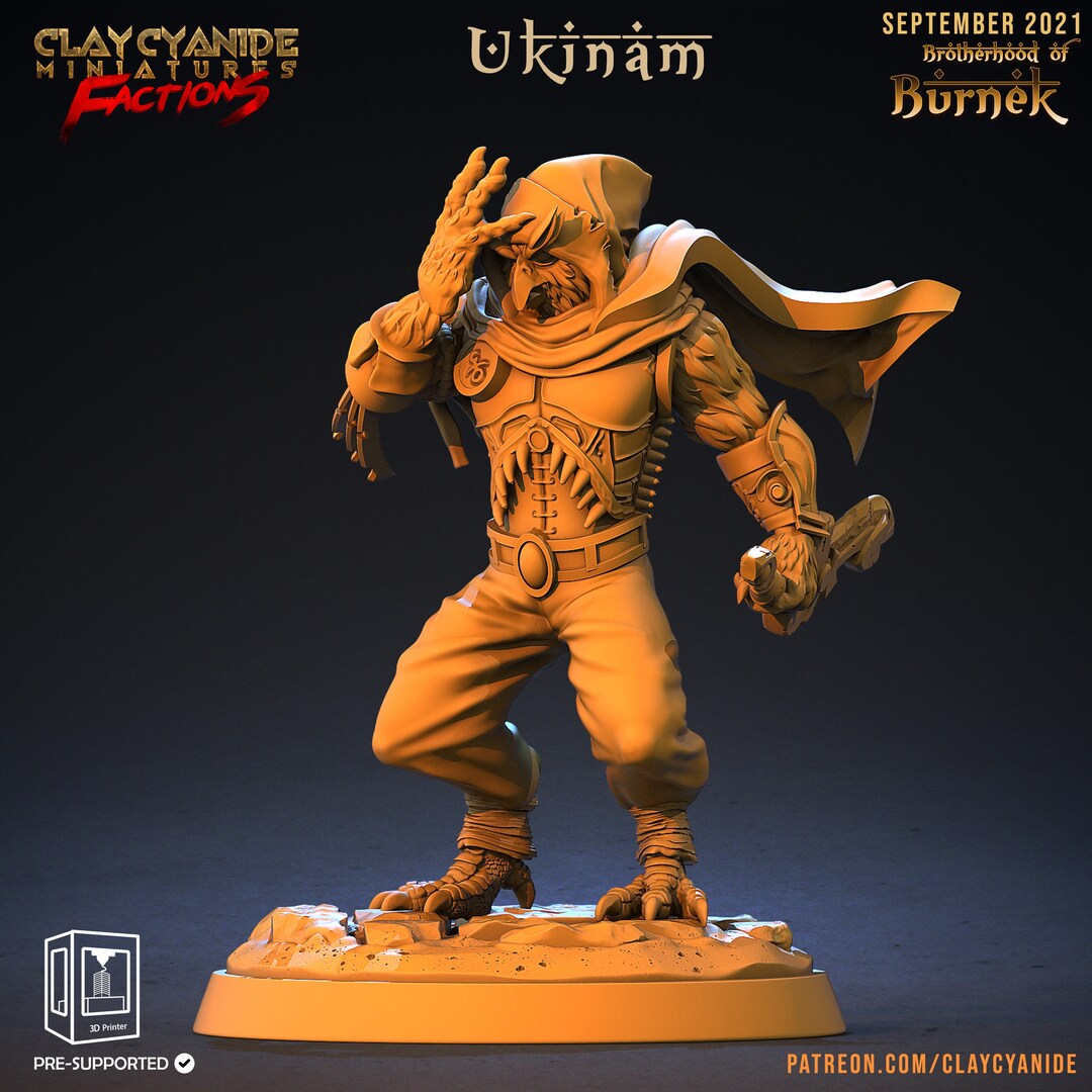 Ukinam - Male Assassin - 28mm - 32 Mm- Dungeons and Dragons Miniatures ...
