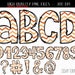Fall Chevron Alphabet PNG Letters and Numbers, Doodle Handwritten Font ...