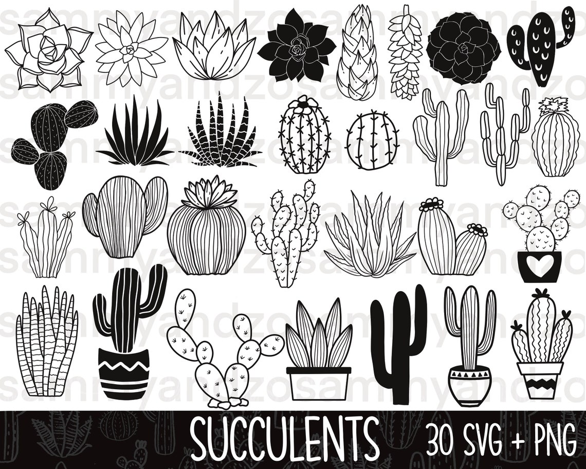 Succulent Svg Succulent Clipart Succulent Cut Files Cut - Etsy