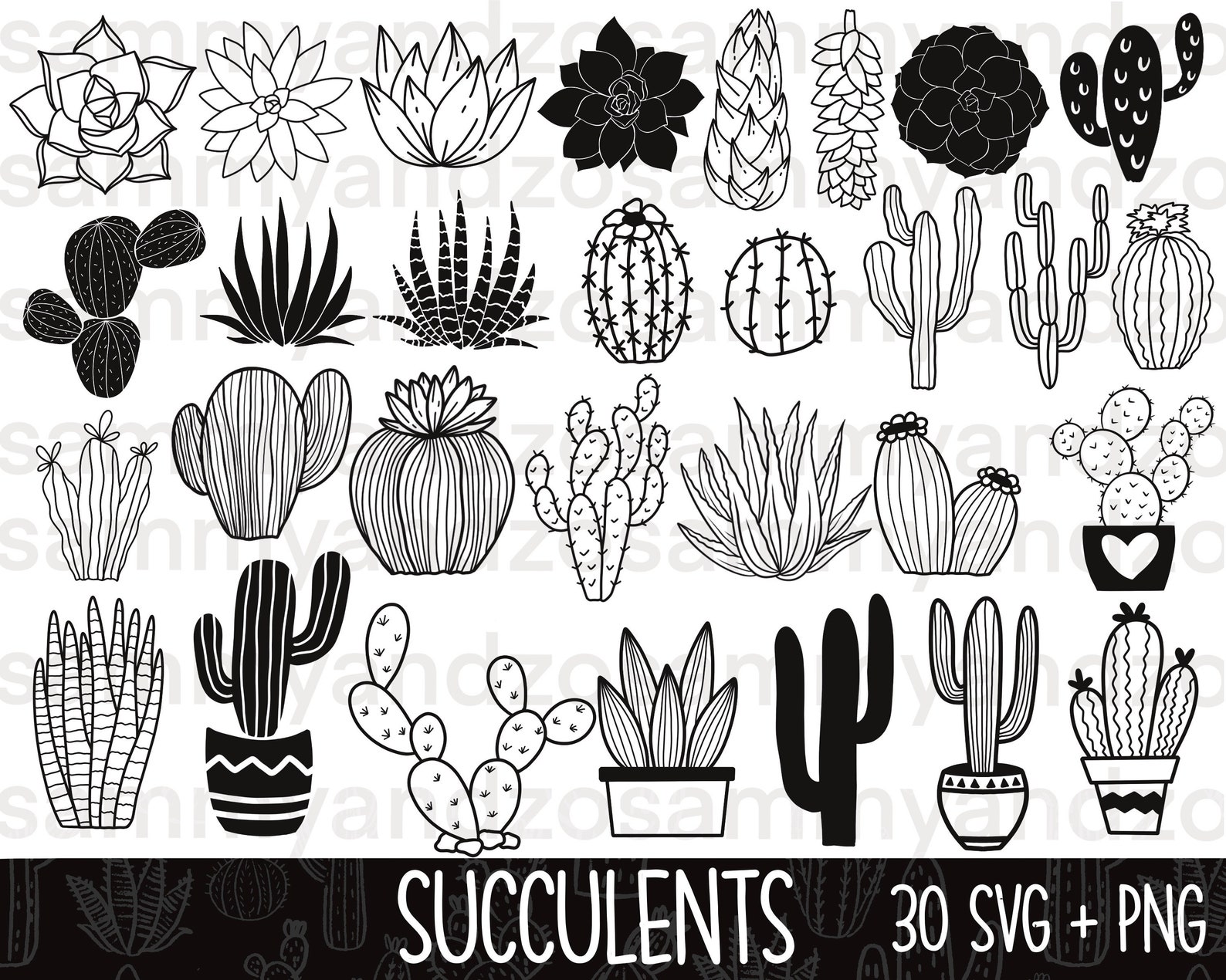 Succulent Svg Succulent Clipart Succulent Cut Files Cut - Etsy