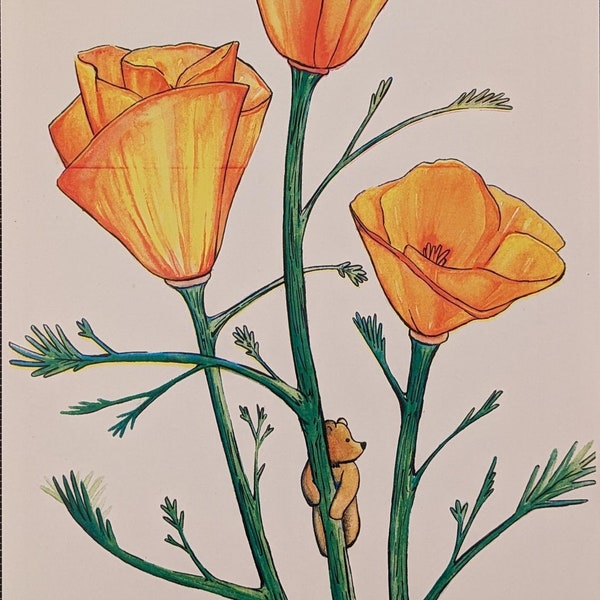 California Poppy Art - Etsy