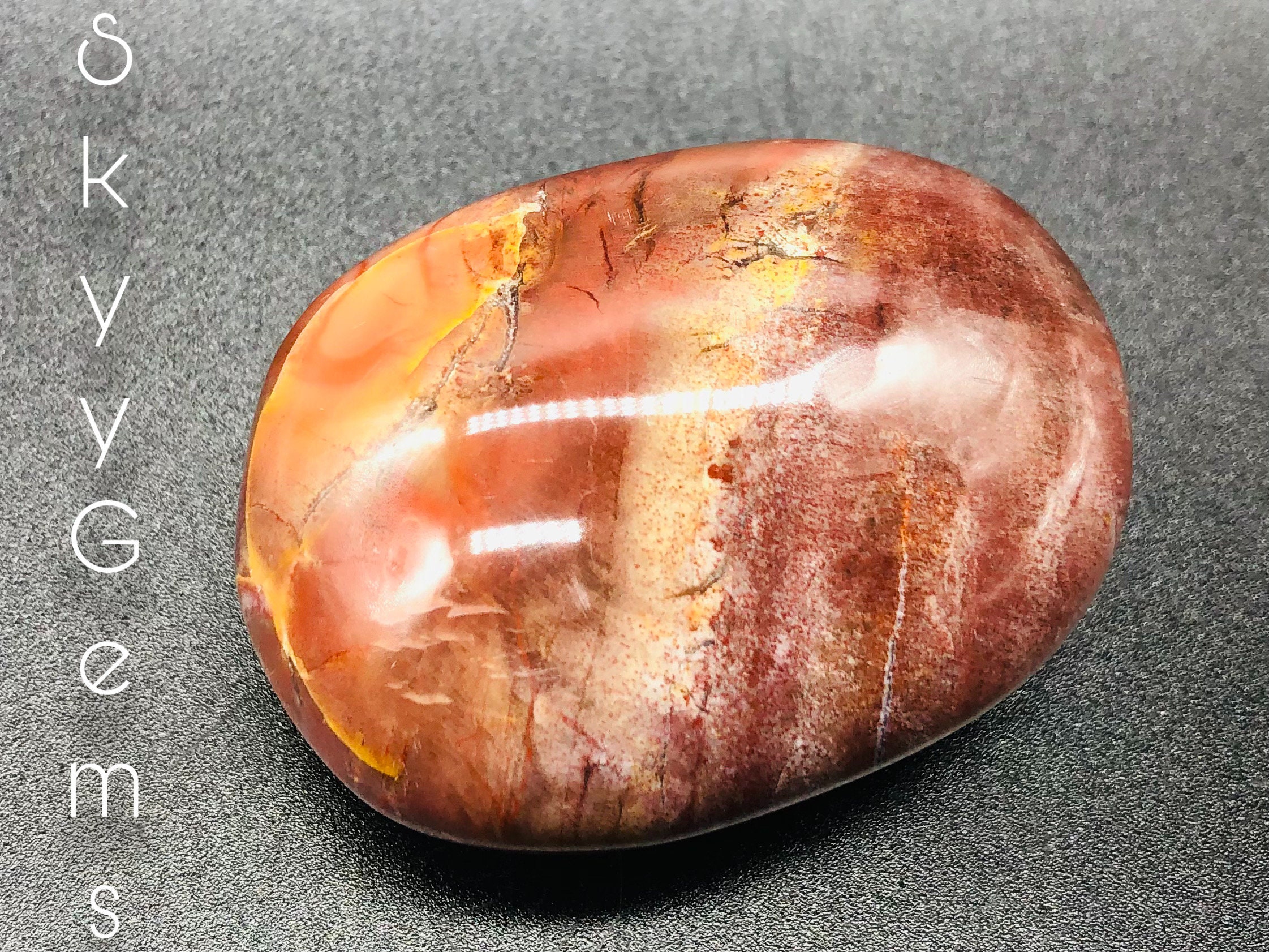 Petrified Wood Palm Stone Agatized Wood Petrified Wood | Etsy