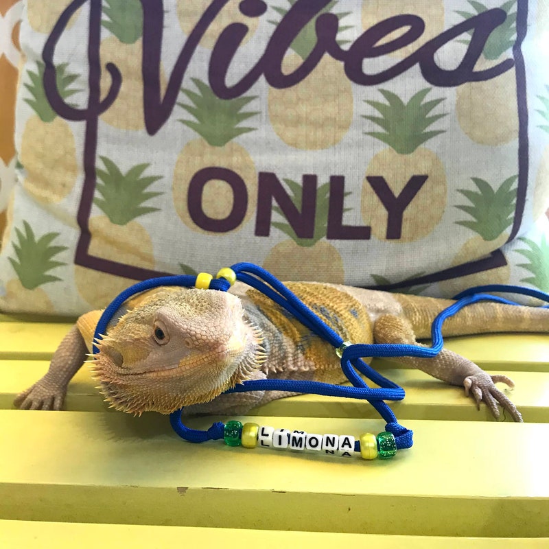 Monitor Lizard Leash - Etsy