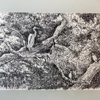 Traditional Drawing of Living and Wilted Flowers in Nature Created With ...