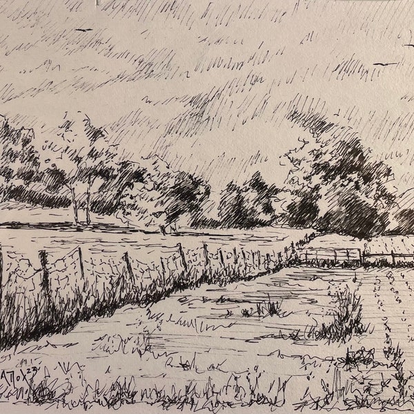 Original Pen and Ink Drawings - Etsy