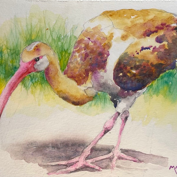 White Ibis - Etsy