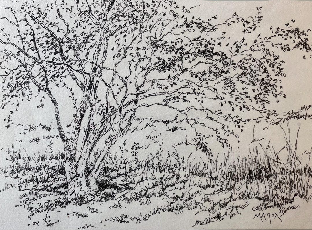 Original Art Work, Pen and Ink Drawing. Hand Drawn Plein Air Drawing of ...