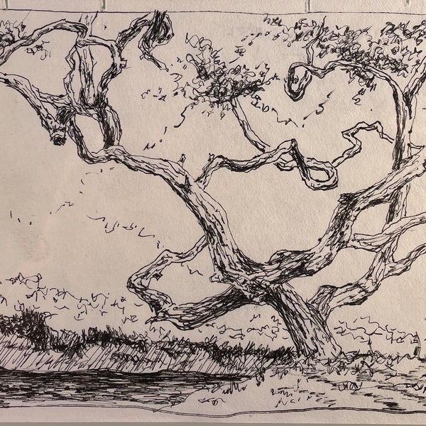 Hand Drawn Oak Tree - Etsy