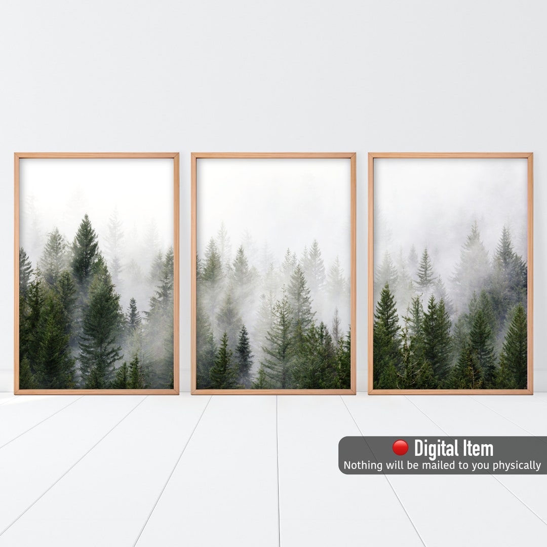 Forest Prints, Set of 3 Foggy Forest Wall Art Set, Forest Photography ...