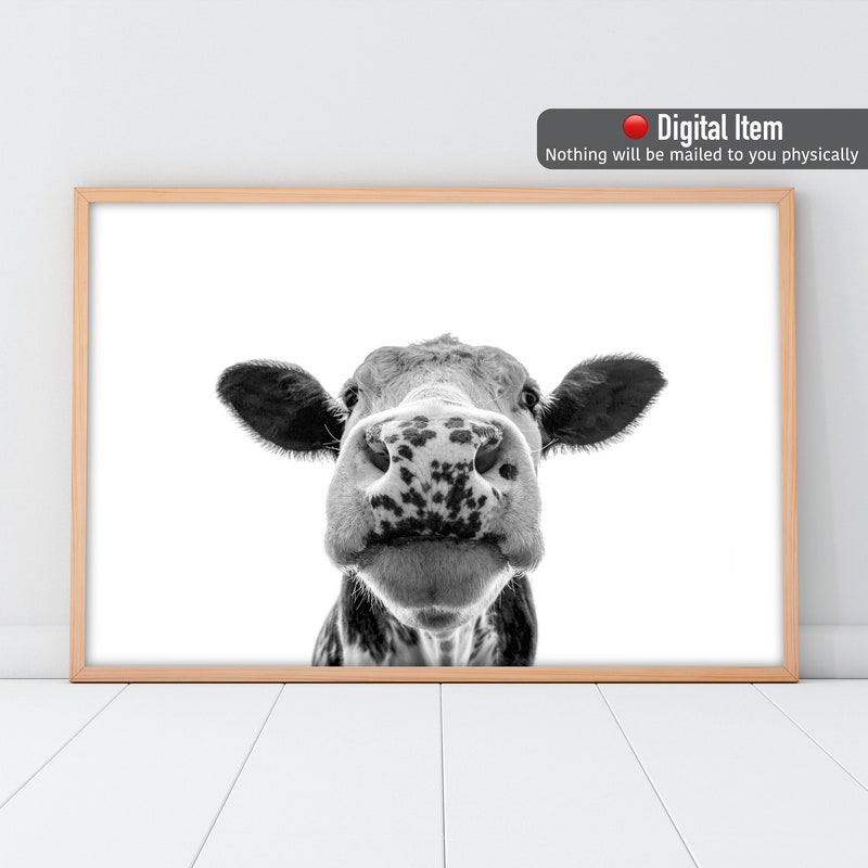 Cow Portrait - Etsy