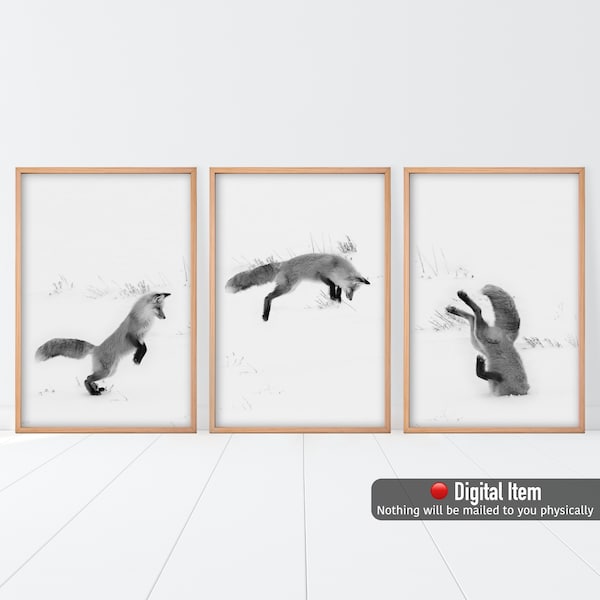 Black and White Fox - Etsy