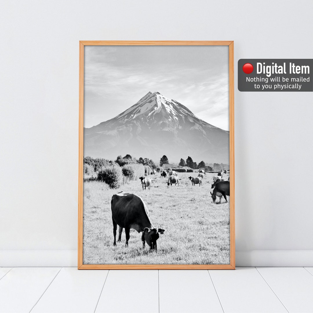 Cow Print, Black and White Cow Poster, Cows and Mountain, Cows in Field ...