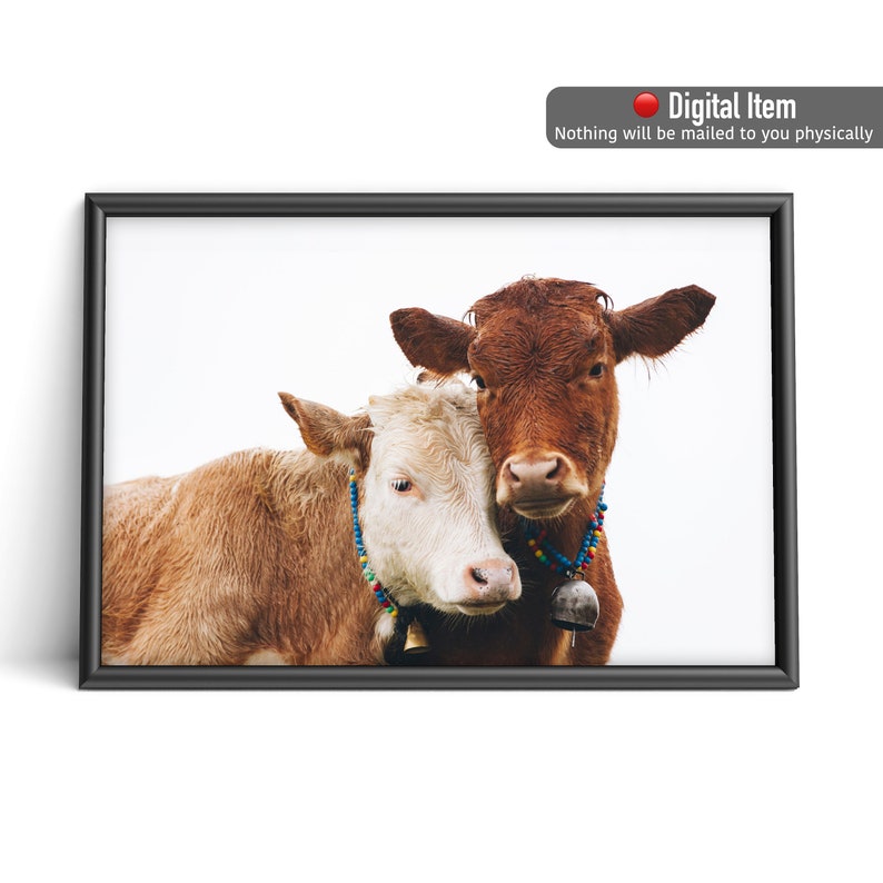 Cow Print Printable Farmhouse Wall Decor Cow Wall Art Farm - Etsy