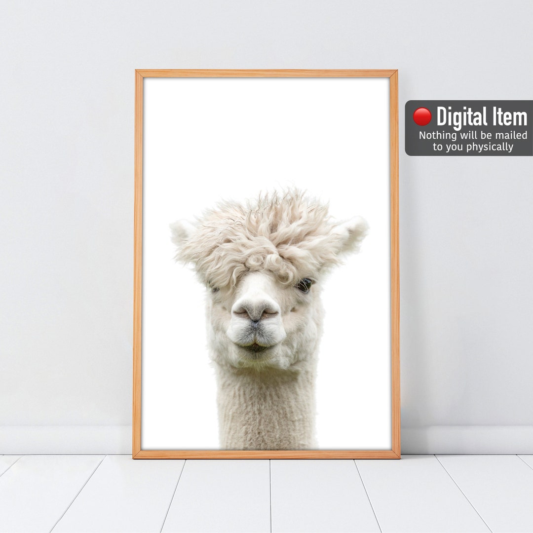 Lama Print, Alpaka Poster, Kinderzimmer Wanddeko, Lama Digitaldruck ...