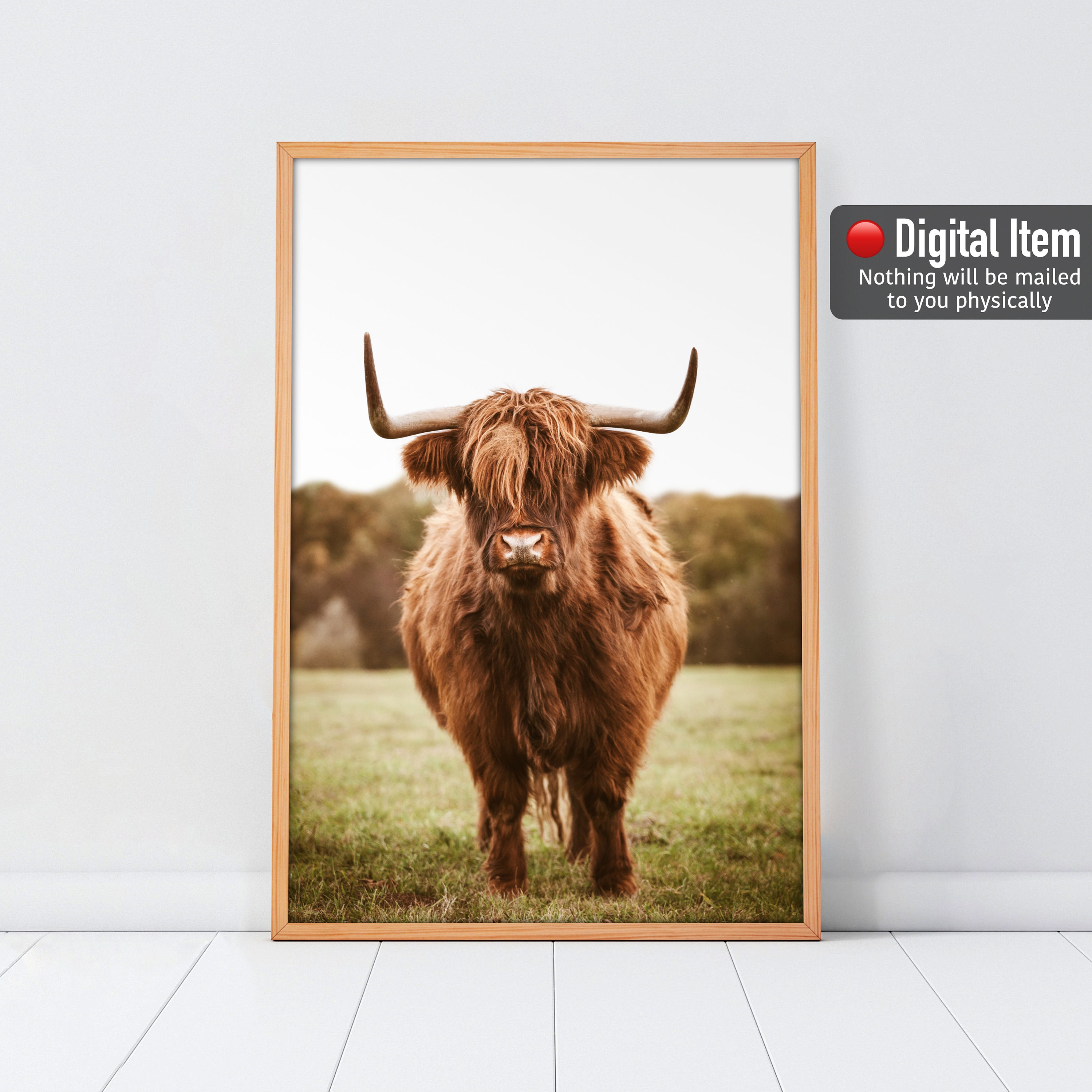Prints Scotland Rustic Highland Cow Prints Download Farm Animal Shaggy ...