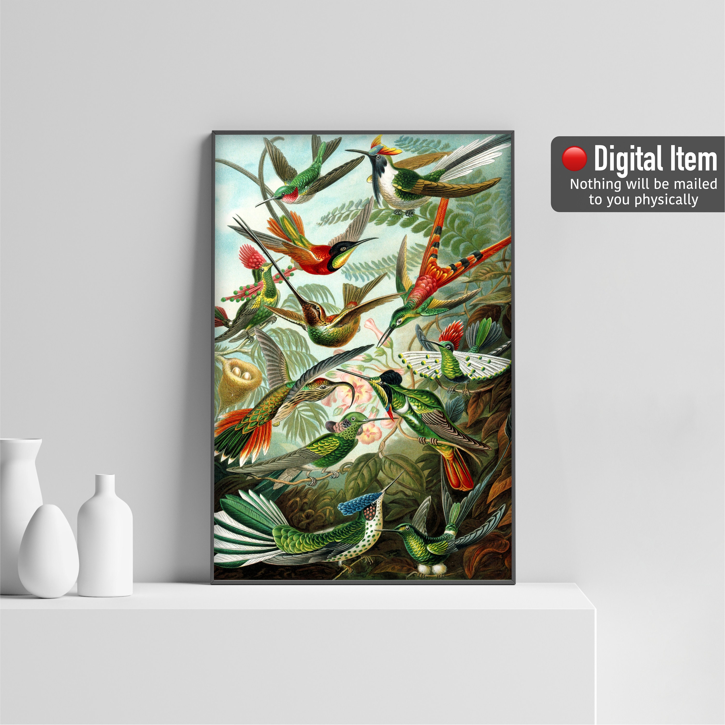 Birds Print Vintage Birds Painting Tropical Birds Wall Art - Etsy
