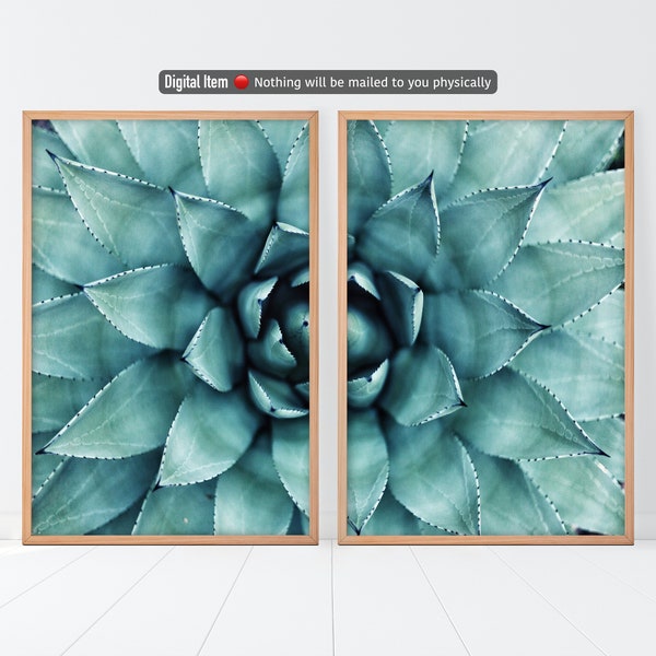 Succulent Wall - Etsy