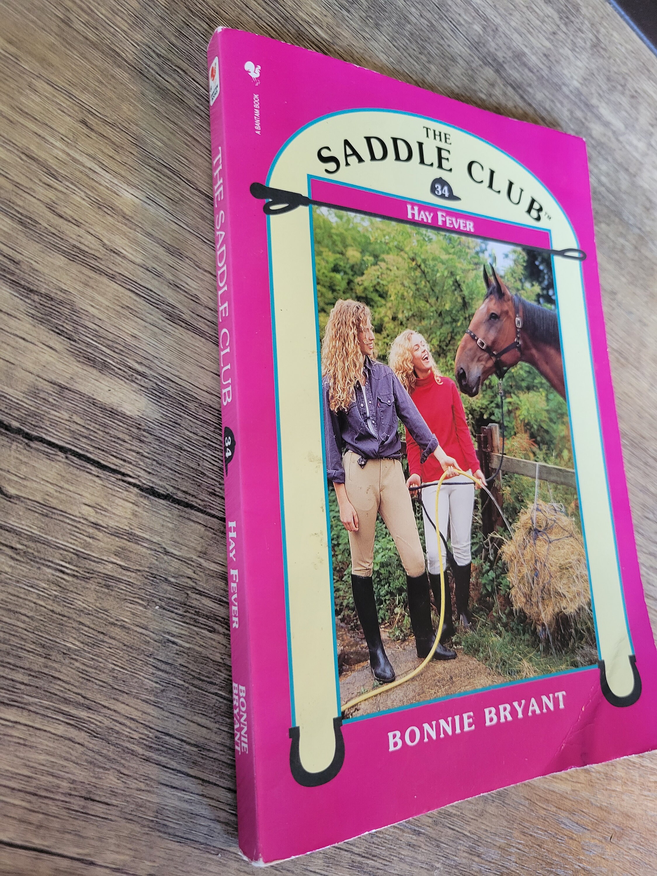The Saddle Club 34 Hay Fever the Saddle Club Series - Etsy