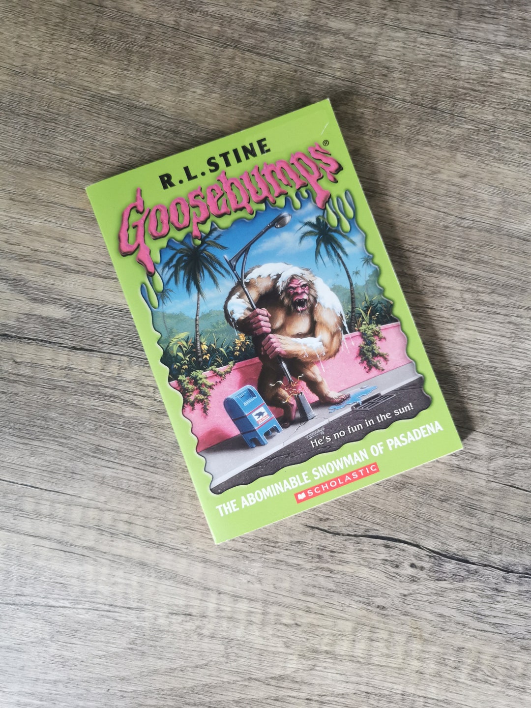 Goosebumps 38 the Abominable Snowman of Pasadena R. L. - Etsy