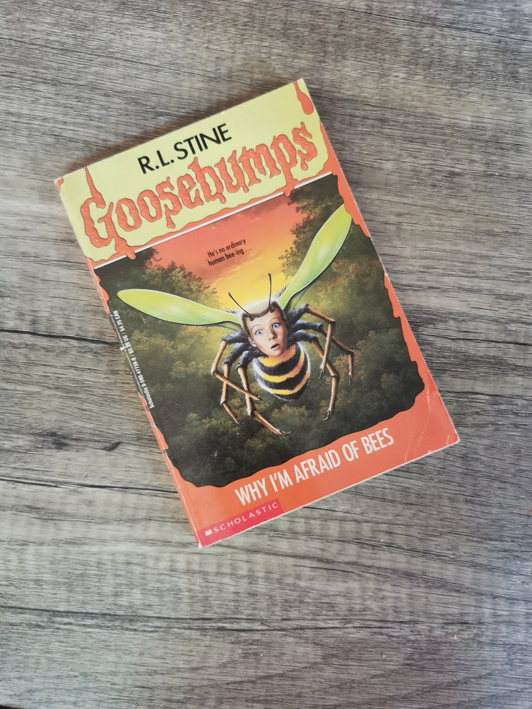 Goosebumps 17 Why I'm Afraid of Bees R. L. Stine - Etsy