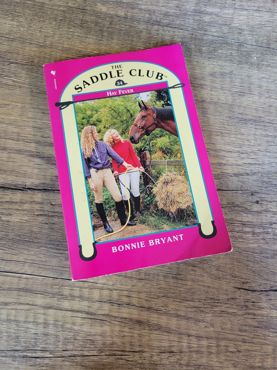 The Saddle Club 34 Hay Fever the Saddle Club Series - Etsy
