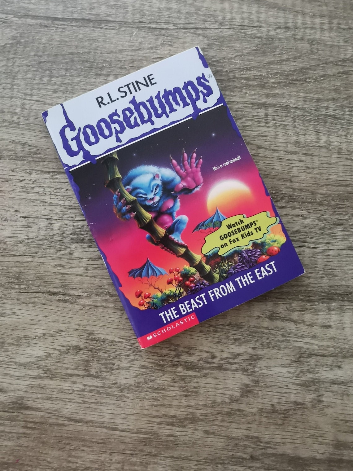 Goosebumps 43 the Beast From the East Ghost Camp R. L. | Etsy