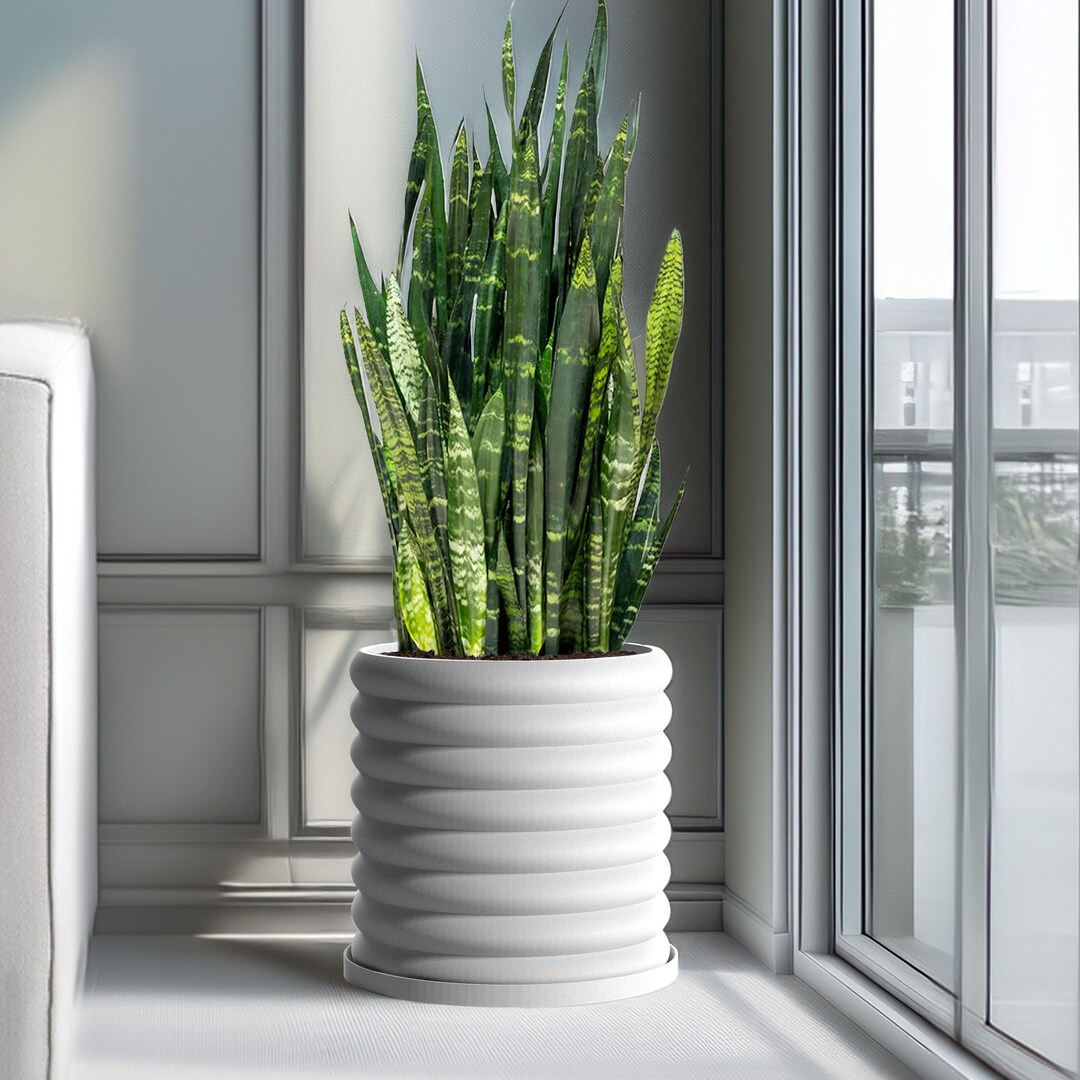 Planter Pot With Drainage, Snow White Slinky Design for Small and Large ...