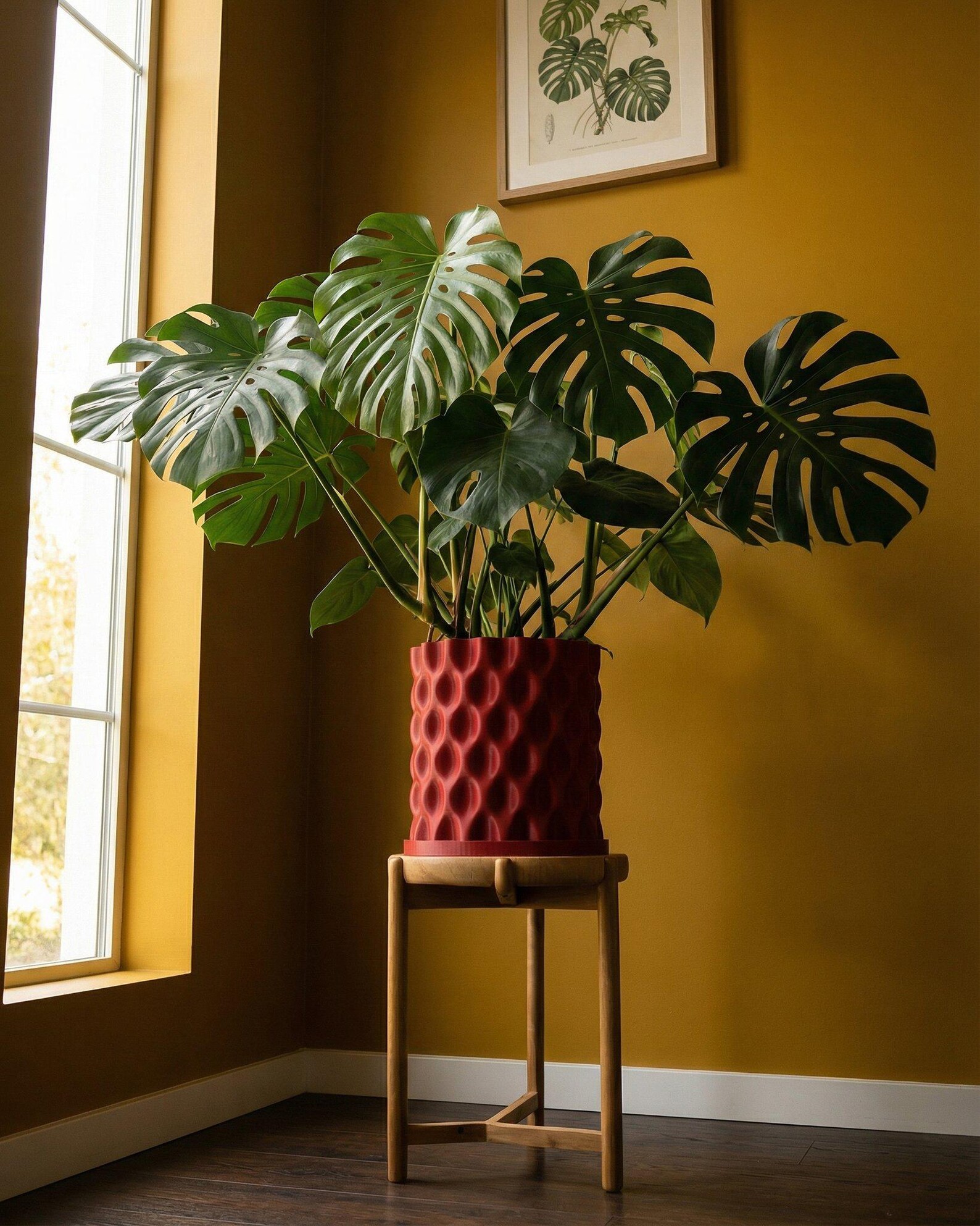 Lava Red Plop Design Planter Pot With Drainage & Water Plate - Etsy