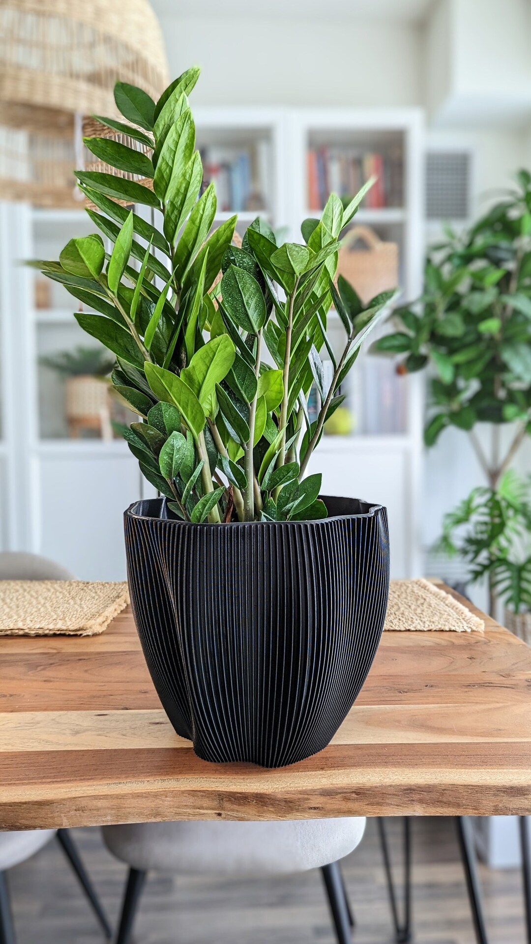 Planter Pot With Drainage Charcoal Black Coconut Design for - Etsy
