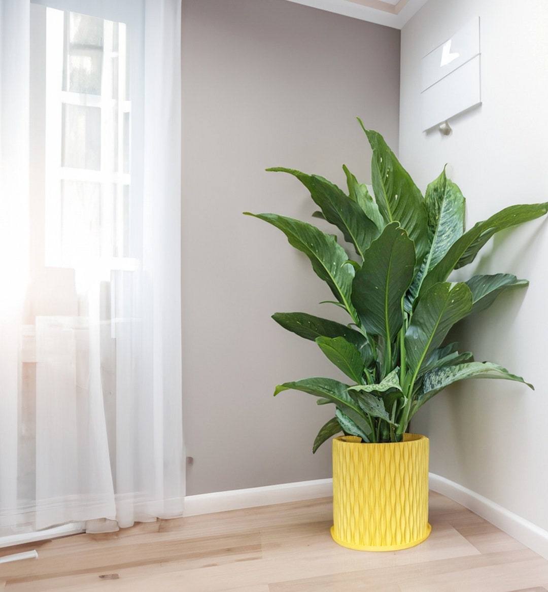 Planter Pot With Drainage Lemon Yellow Mica Design for Small - Etsy