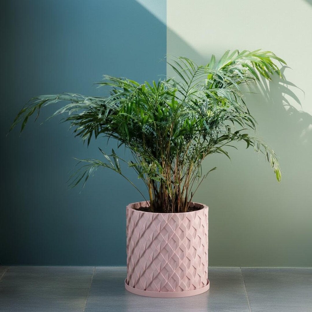 Candy Pink Chisel Design Planter Pot With Drainage & Water Plate - Etsy