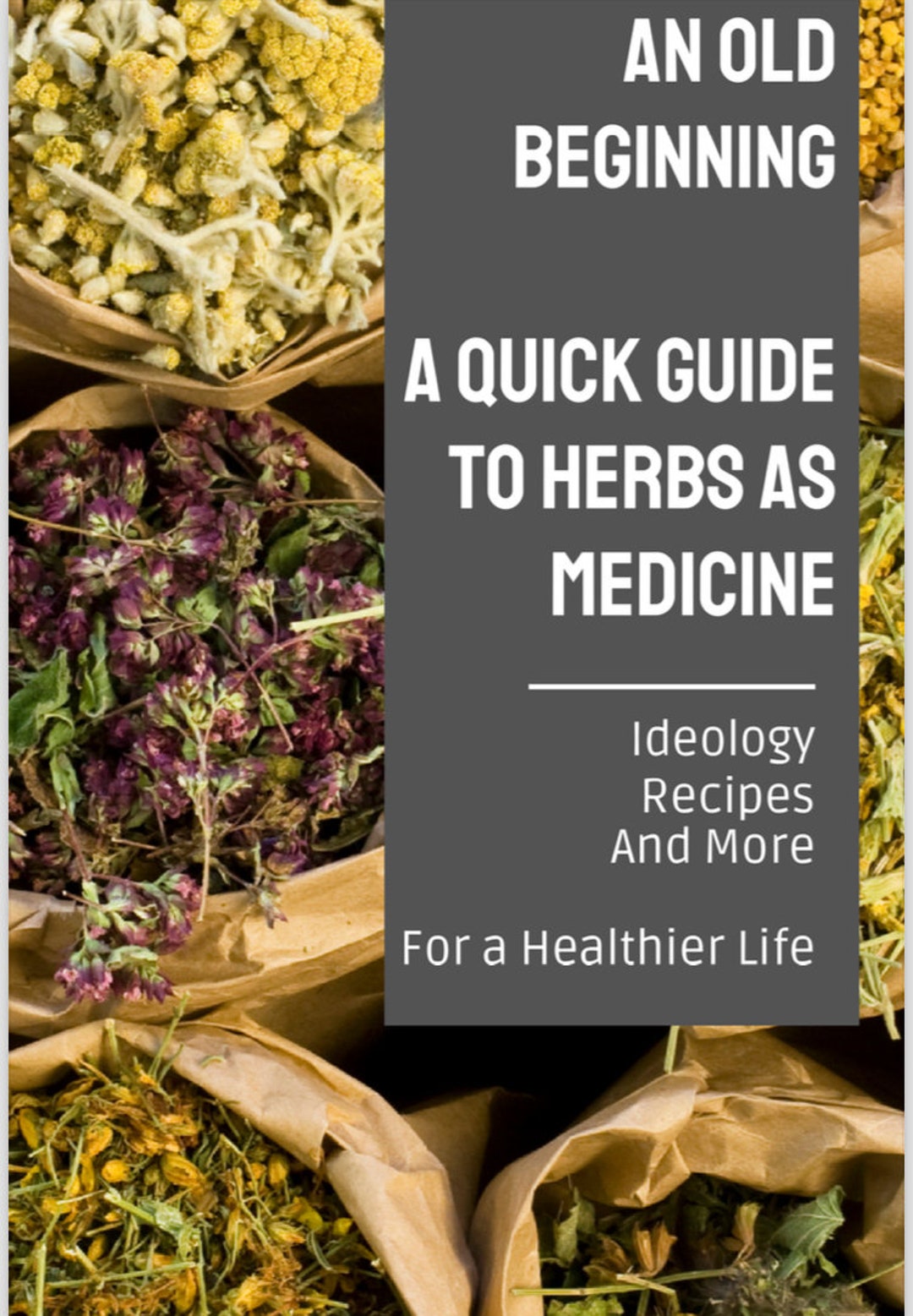 Informational Mini Course Booklet “A Quick Guide to Herbs as Medicine ...