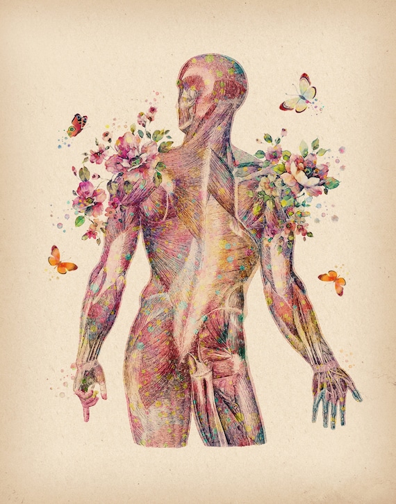 2 X Muscles of the Body Watercolor Vintage Note Card/picture - Etsy