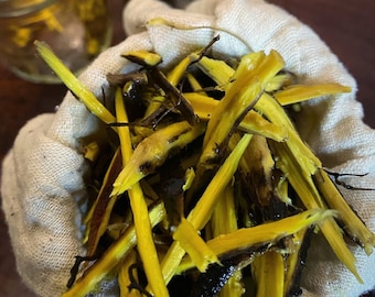 Devil’s Club Root Tincture | Wildcrafted & Organic | Fresh Plant ...