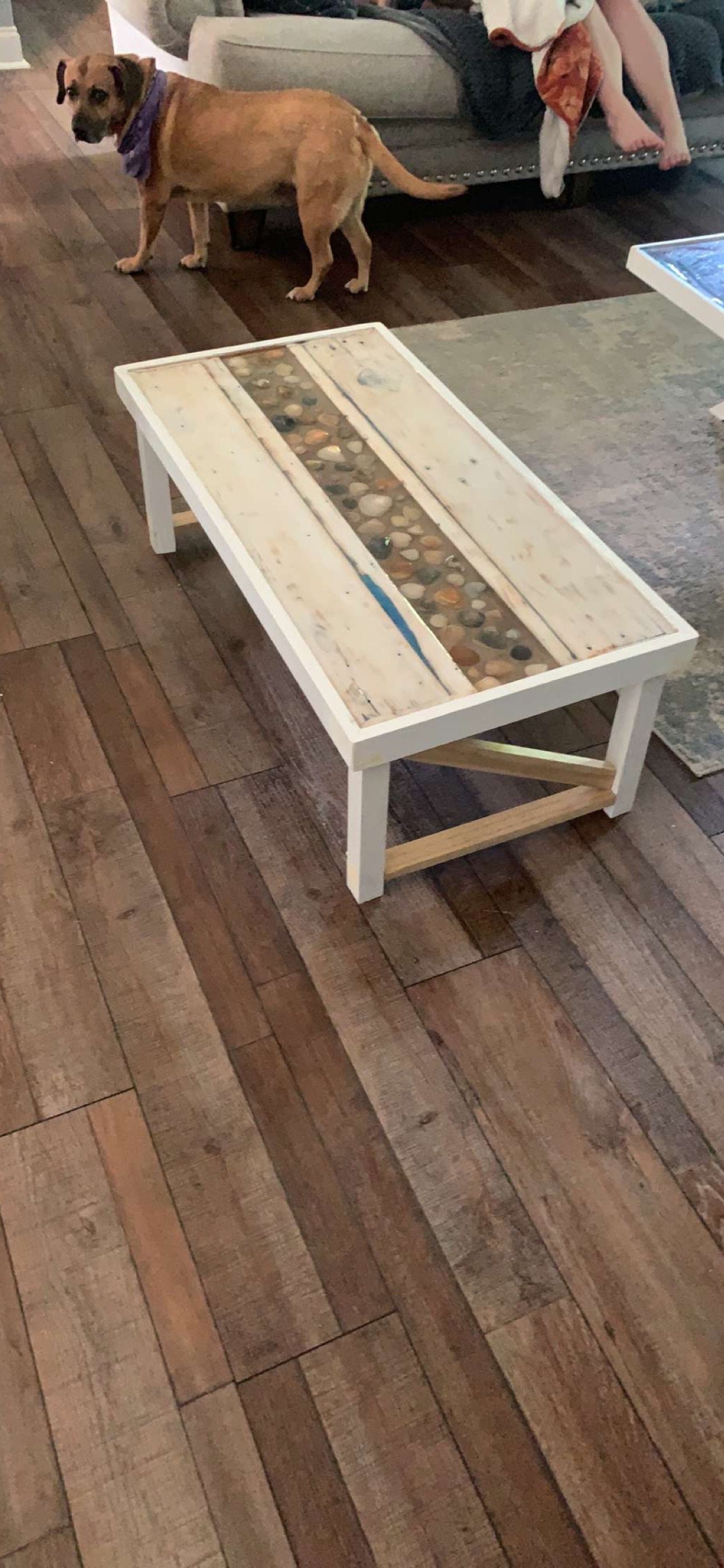 Rustic Sea Shell Coffee Table - Etsy