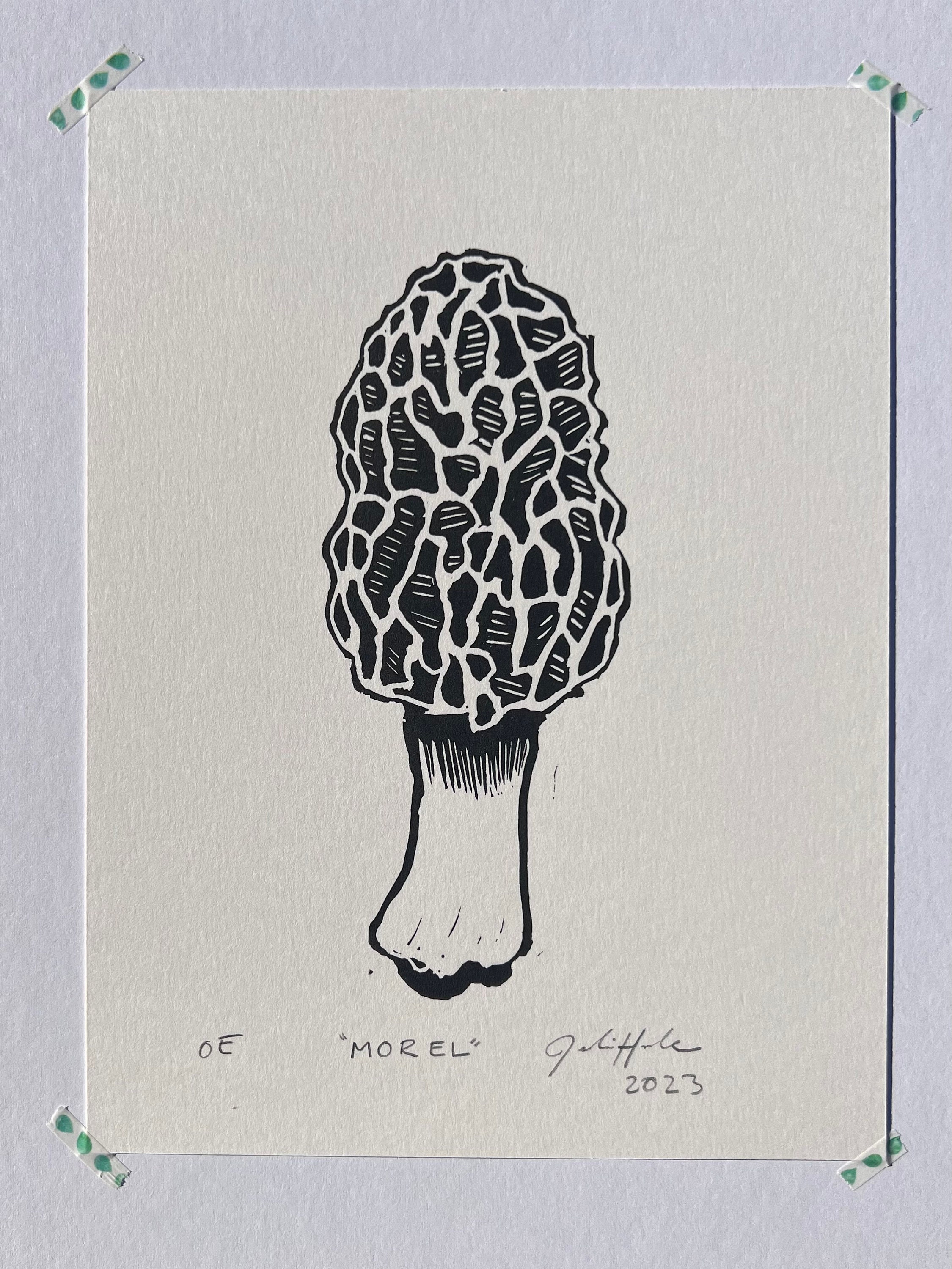 MOREL || Morel Mushroom Block Print | Mycology | Fungi | Foraging ...