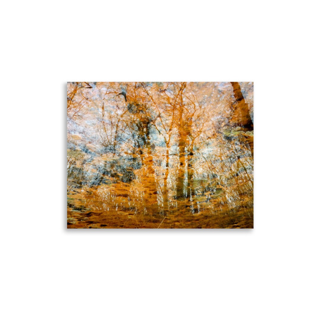 Fall Colors Poster - Etsy