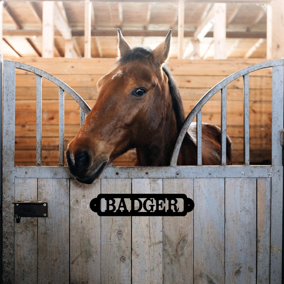 Custom Metal Horse Stall Sign, Weatherproof Barn Plaque - Etsy