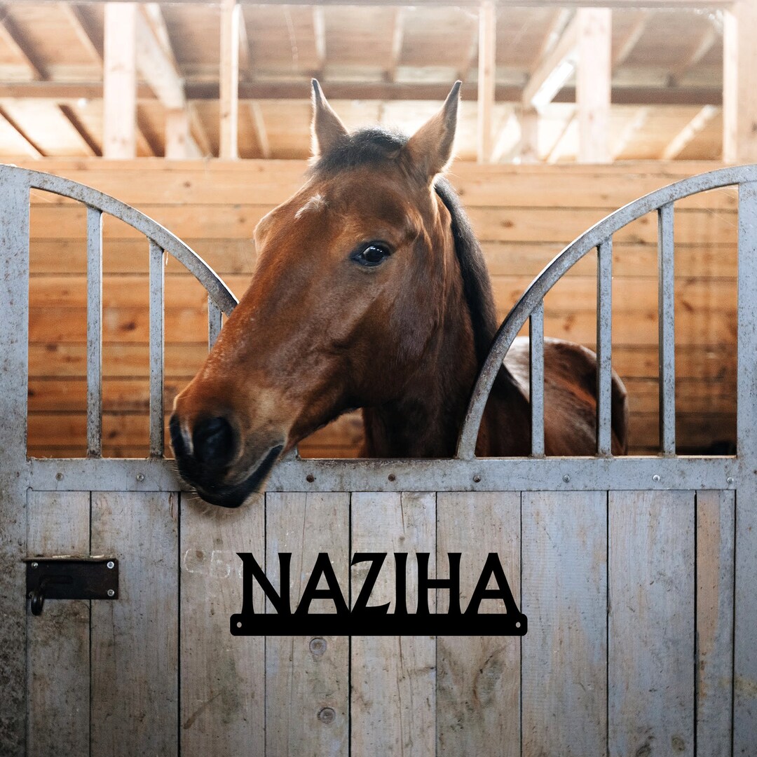 Custom Metal Horse Stall Sign / Equestrian / Riding / Barn Decor ...