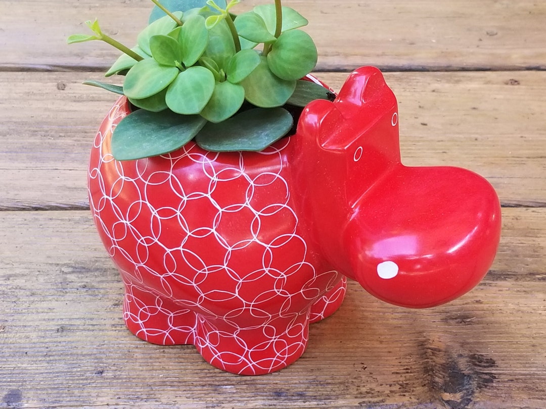 Hippo Planter for Succulents, Hand Carved Soapstone Pot, Hippo Lover ...