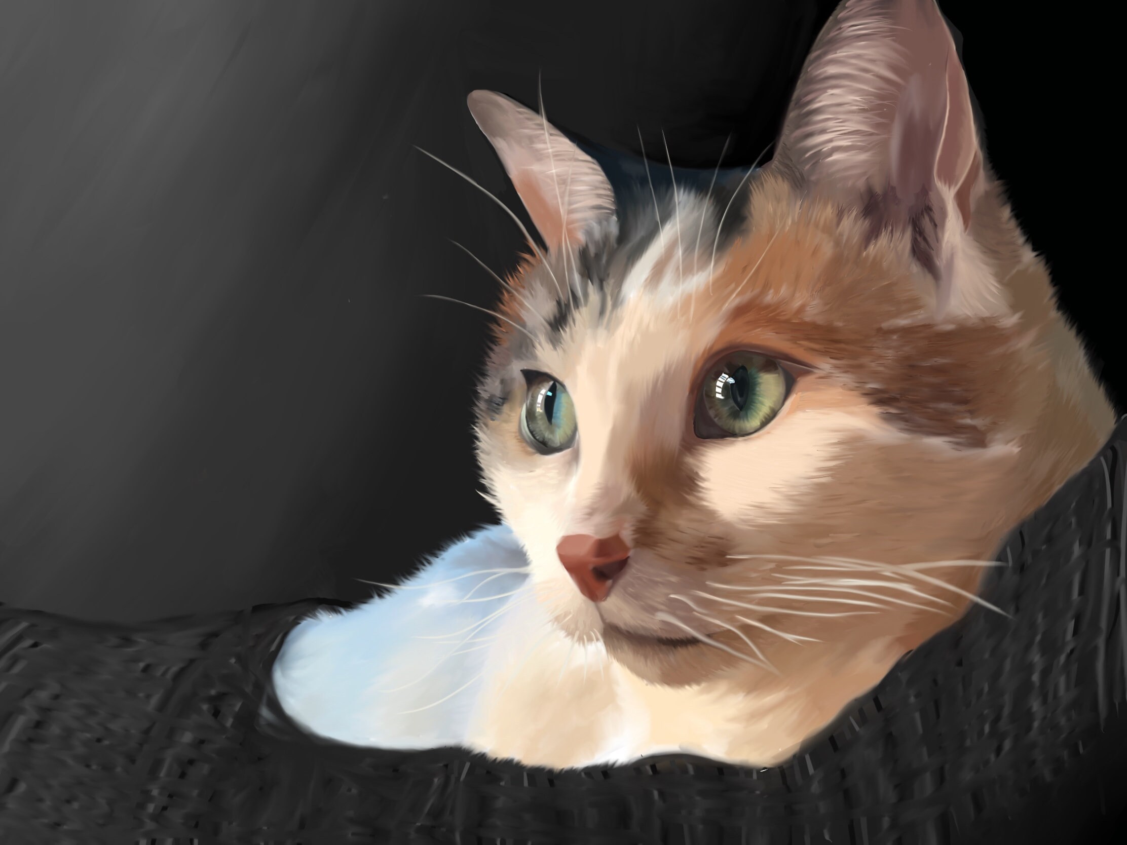 Realistic Cat Computer Drawing