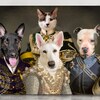 Custom 3 Pets Portrait, Father's Day Royal Dog,custom Painted Multiple ...