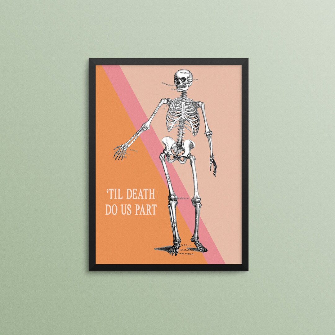 Skeleton Print, 70s Psychedelic, Bone Print, Antique Skeleton, Bones ...