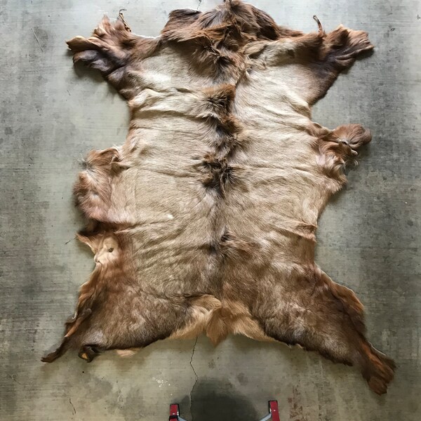 Elk Hide - Etsy