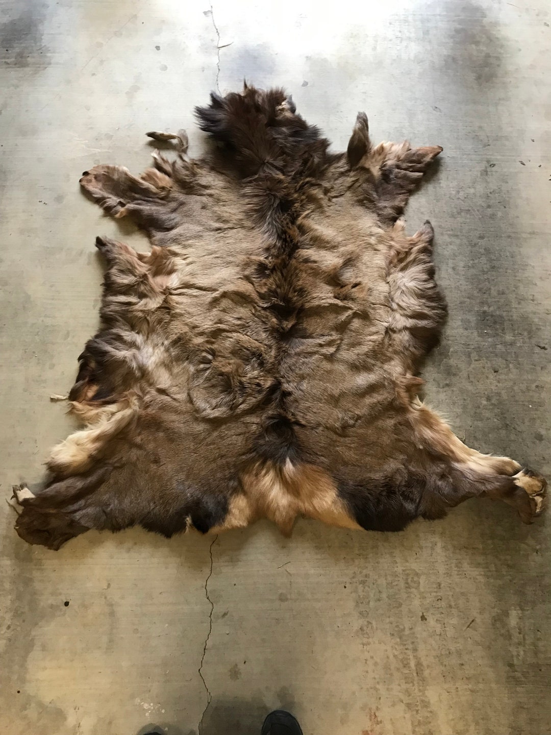 Idaho Elk Hide Professionally Tanned Hair On - Etsy