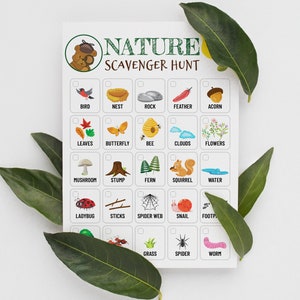 Nature Scavenger Hunt, Outdoor Treasure Hunt Printable, Scavenger Hunt ...